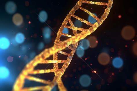 3d合成的基因分子结构图片素材 正版创意图片600232830 摄图网