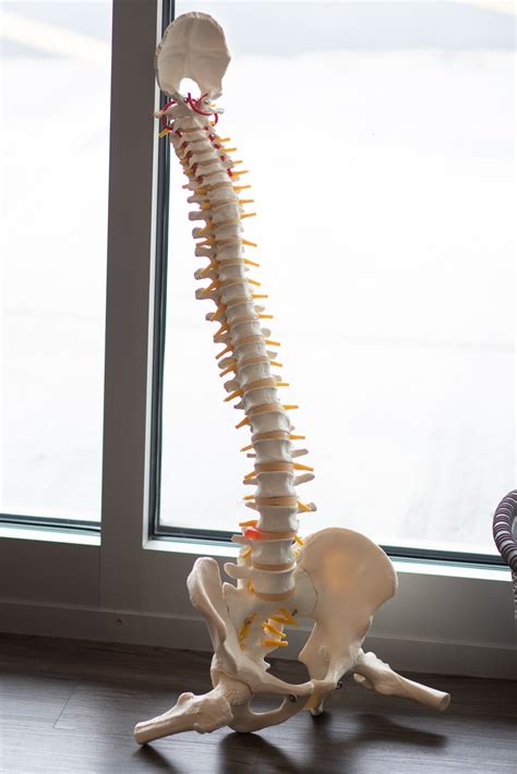 Chiropractor In Hamilton Nj Allcure
