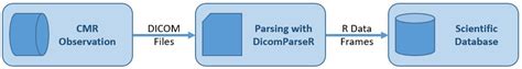 dicom parsing with r r bloggers