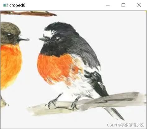 Python利用图像处理方法 实现多目标检测与裁剪（opencv） 苍月代表我 博客园