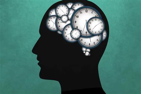 Neuroscientists Discover Networks Of Neurons That Control Timing