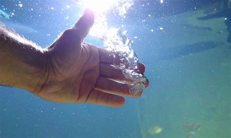 想學魚缸開缸卻不知道怎麼開始？