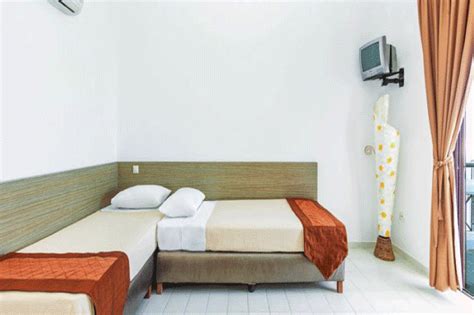 Dolphin Beach Hotel Possidi Kassandra Art Of Travel