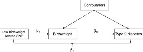 Schematic Representation Of The Mendelian Randomisation Analysis β1 Is Download Scientific