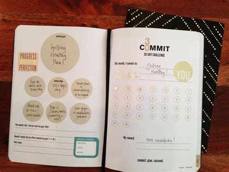 8 Best Commit30 Planner Images On Pinterest Daily Planners Day Planners And Goal Settings