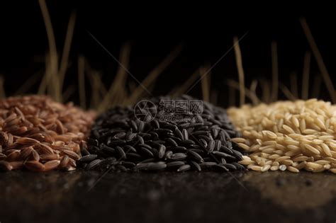 杂交的水稻种子高清图片下载 正版图片600037401 摄图网