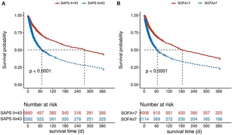 Kaplan Meier Curves Of 1 Year Mortality By Scoring System Groups A Download Scientific