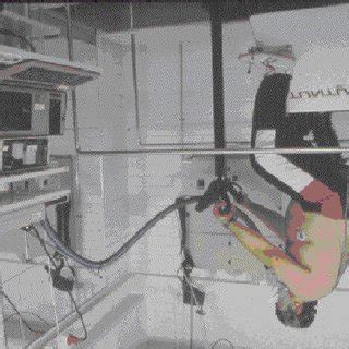 Treadmill Fitness Test Scene Download Scientific Diagram