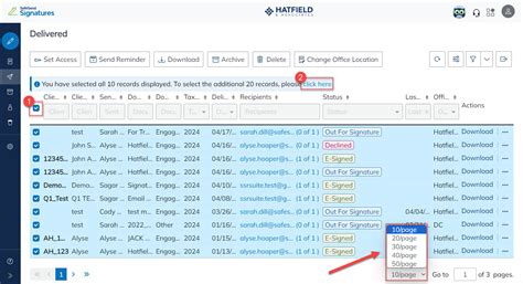 Delivered Bulk Action Icons Safesend Signatures