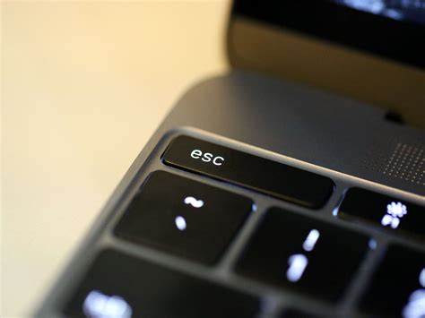 NSFW Apple Is Doomed Without A Purple MacBook IMore