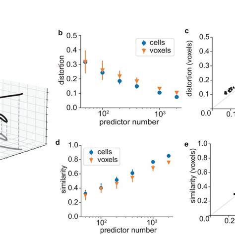 Scale Invariant Distortion Of Neuronal Population Geometry A Schematic