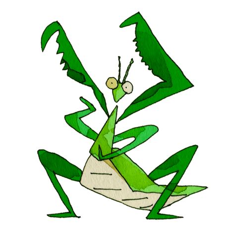 カマキリのイラスト かわいいフリー素材が無料のイラストレイン