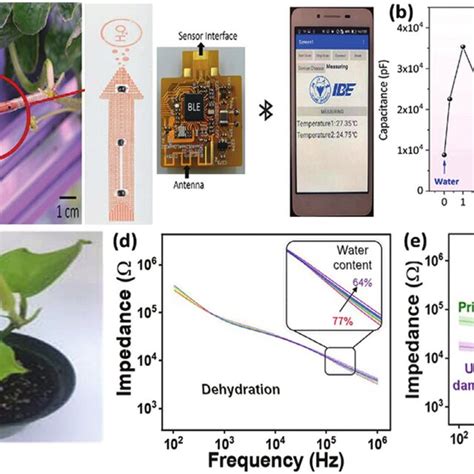 A Photograph Of The Sap Flow Sensor Connected To A Smartphone Download Scientific Diagram