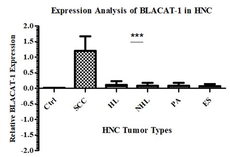 Expression Of Blacat 1 In Hnc Tunor Types Control Ctrl Squamous Download Scientific Diagram