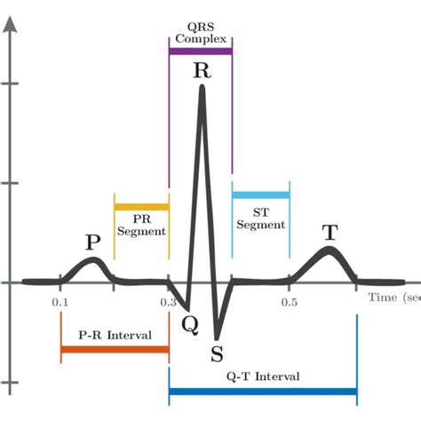 3 Main Wave Interval And Segments In Normal Ecg Signal Download Scientific Diagram
