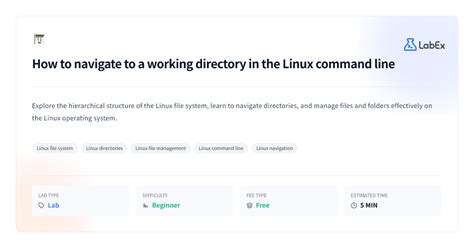 How To Navigate To A Working Directory In The Linux Command Line Labex