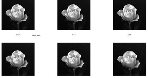 MATLAB Works MATLAB Code To Read An Image And Subsample It To Sizes 512 256 128 64 32