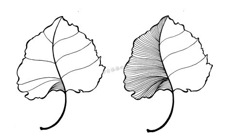 叶子画图片简笔画 简单 大山谷图库