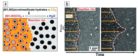 Schematic Representation And Time Lapse Tomography Image Of The Download Scientific Diagram
