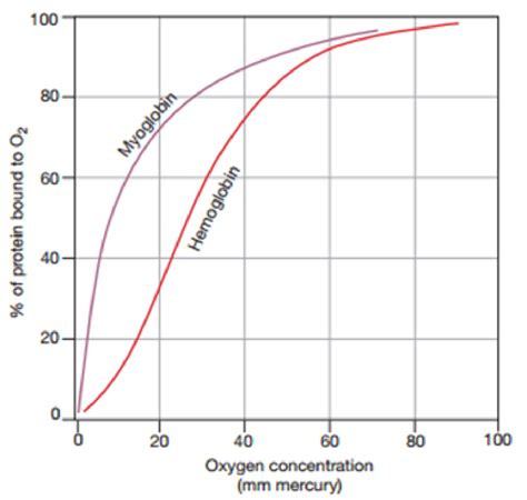 the graph shown below represents the binding of oxygen molecules o 2
