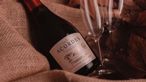 Desperte Seus Sentidos Na Vinícola Garibaldi Wine Locals