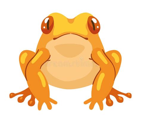 Exotic Yellow Frog Stock Vector Illustration Of Character 271122068
