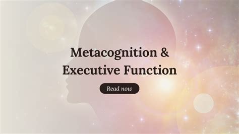 Metacognition And Executive Function