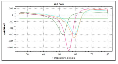 Brd3 Bromodomain Assay Service Thermoshift Reaction Biology