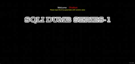 Sql Labs Less1 Echo Your Login Name Row[username] Echo Csdn博客