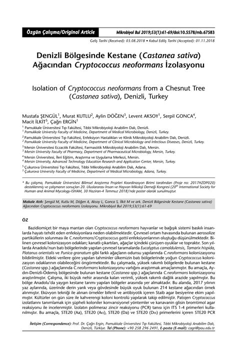 Pdf Isolation Of Cryptococcus Neoformans From A Chesnut Tree Castanea Sativa Denizli