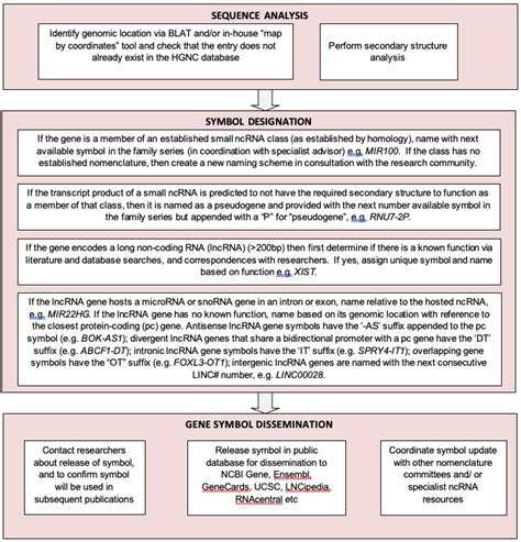 Gene Naming Flowcharts Hugo Gene Nomenclature Committee