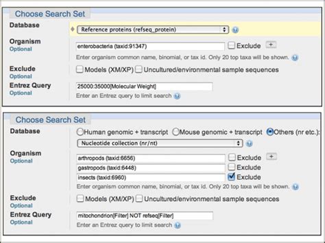 Ncbi Insights Making Custom Databases For Web Blastncbi Insights