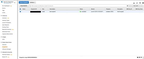 Increase The Disk Size Of Ec2 Ubuntu Instance