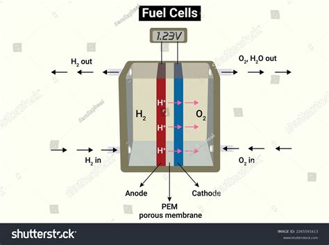 Hydrogen Oxygen Fuel Cell Scheme Fuel Stock Vector Royalty Free