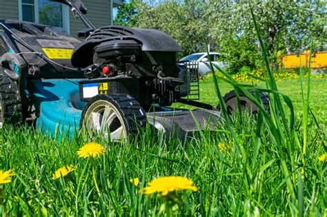 잔디 깎고 녹색 잔디 잔디 깎는 기계 잔디 깎는 사람 잔디 장비입니다 채 초 정원사 관리 작업 도구입니다 보기를 닫습니다 화창한 날입니다 부드러운 번개 공원에 대한 스톡