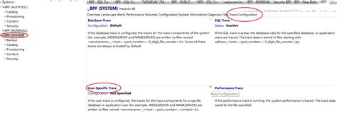 How To Setup Hana Authorization Trace Sap Community