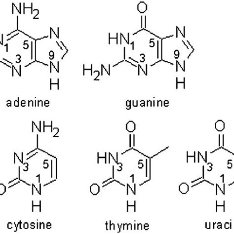 A D Symbolic Representation Of Conical Intersections Examples Of Download Scientific