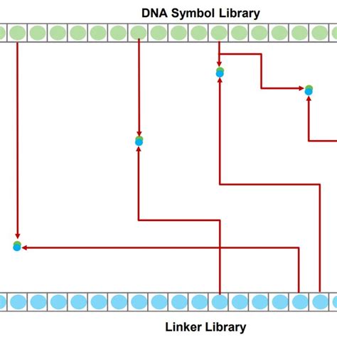 A High Level Visual Of A Digital Microfluidic Biochip Dmfb Two Sides