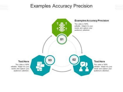 Examples Accuracy Precision PowerPoint Presentation And Slides PPT Example SlideTeam