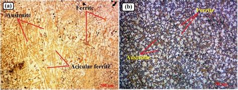Optical Microstructure Of A Duplex Stainless Steel B Ferritic