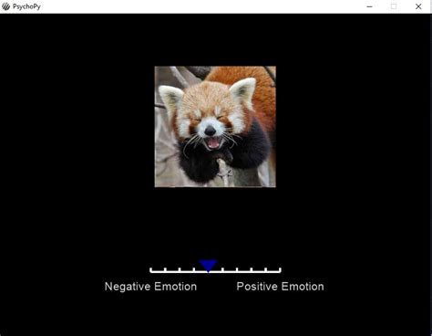 Make A Rating Scale · Programming Experiments In Python And Psychopy3
