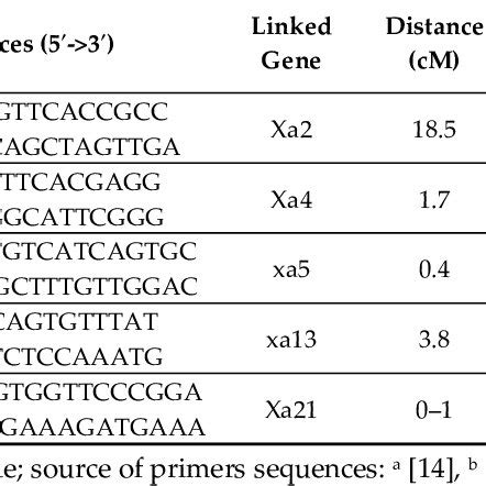 Simple Sequence Repeat SSR And Sequence Tagged Site STS Markers For Download Scientific