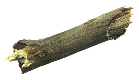 Log Wood Isolate On Transparent Background Png File 9887415 PNG