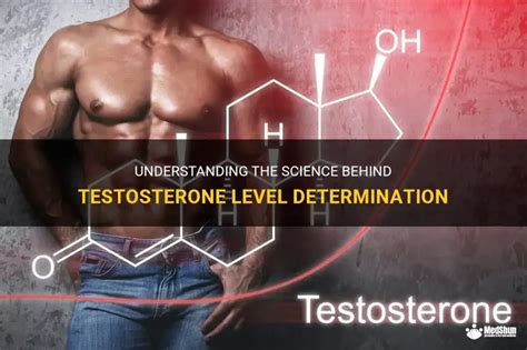 Understanding The Science Behind Testosterone Level Determination MedShun