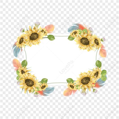 아름 다운 해바라기 깃털 꽃 일러스트 테두리경계삽화 Png 일러스트 무료 다운로드 Lovepik