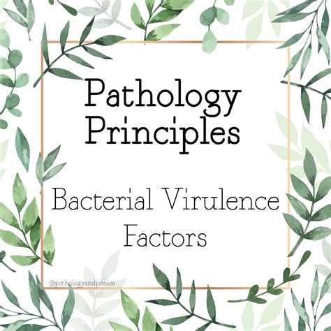 Bacterial Virulence Factors Pathology And Ponies