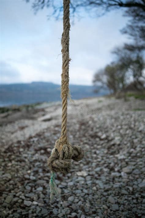 Swing On Pebble Beach Splashing Waves And Beautiful Clouds Stock Image