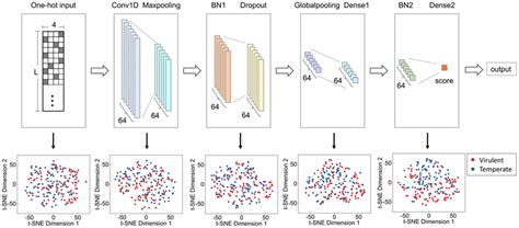 Structure Of Deep Learning Neural Network And Visualization Of 5 Layers