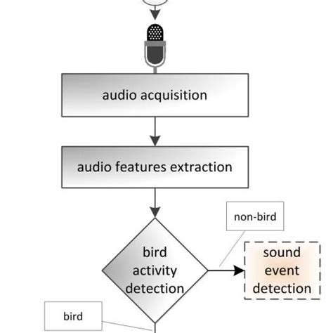 Accuracy Rate In Percentages Of Bird Species Recognition For Download Scientific Diagram