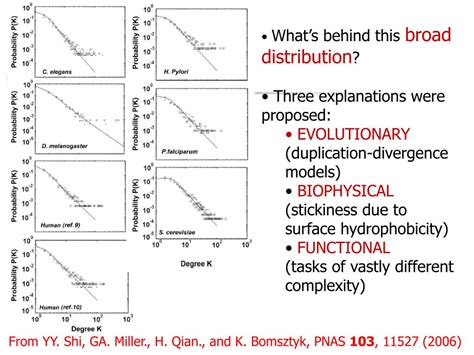 Ppt Protein Binding Networks From Topology To Kinetics Powerpoint Presentation Id 197064